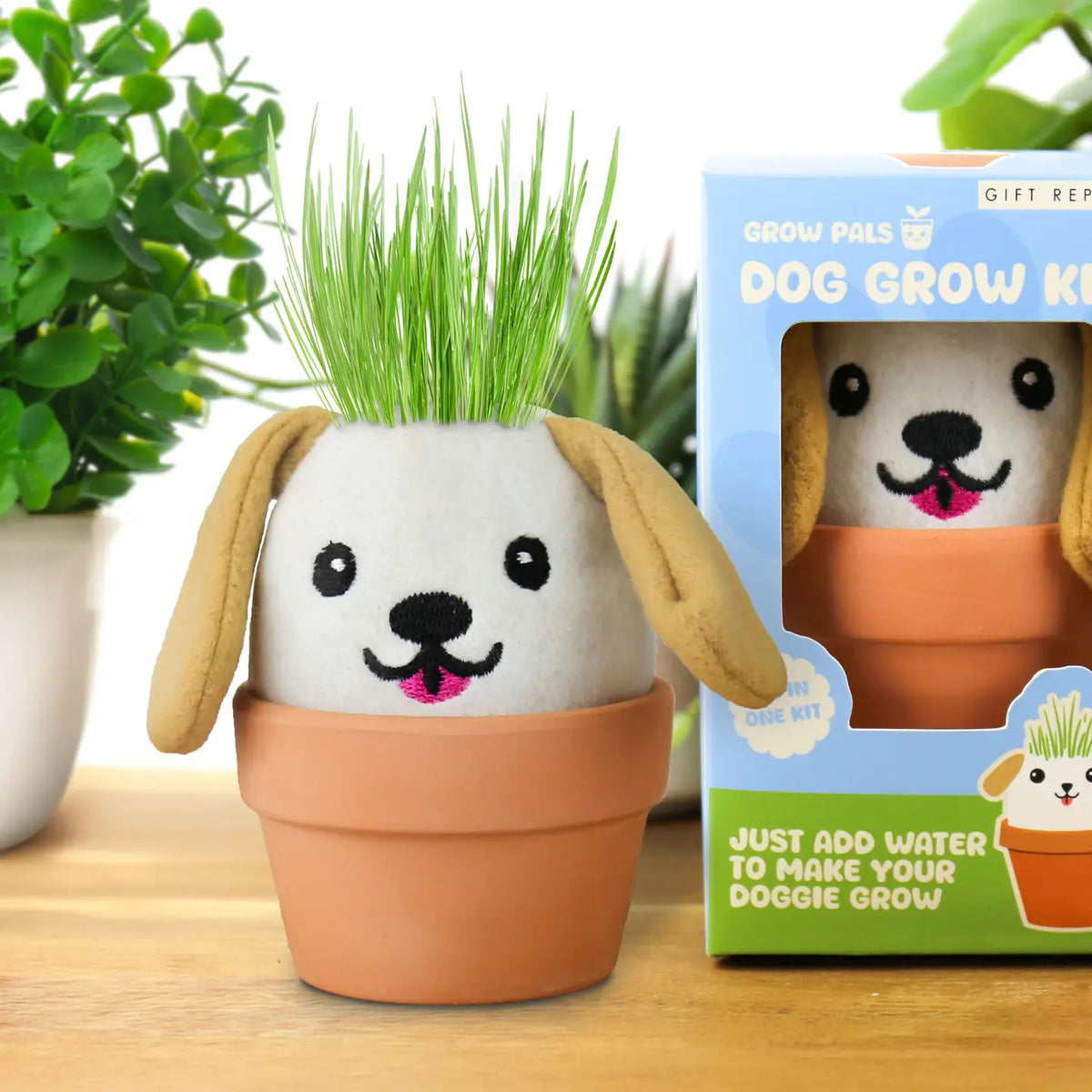 Dog Grow Kit – Grow Pals – Captain Jellyfish