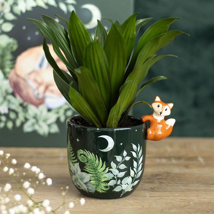 Forest Fox Plant Pot – Captain Jellyfish